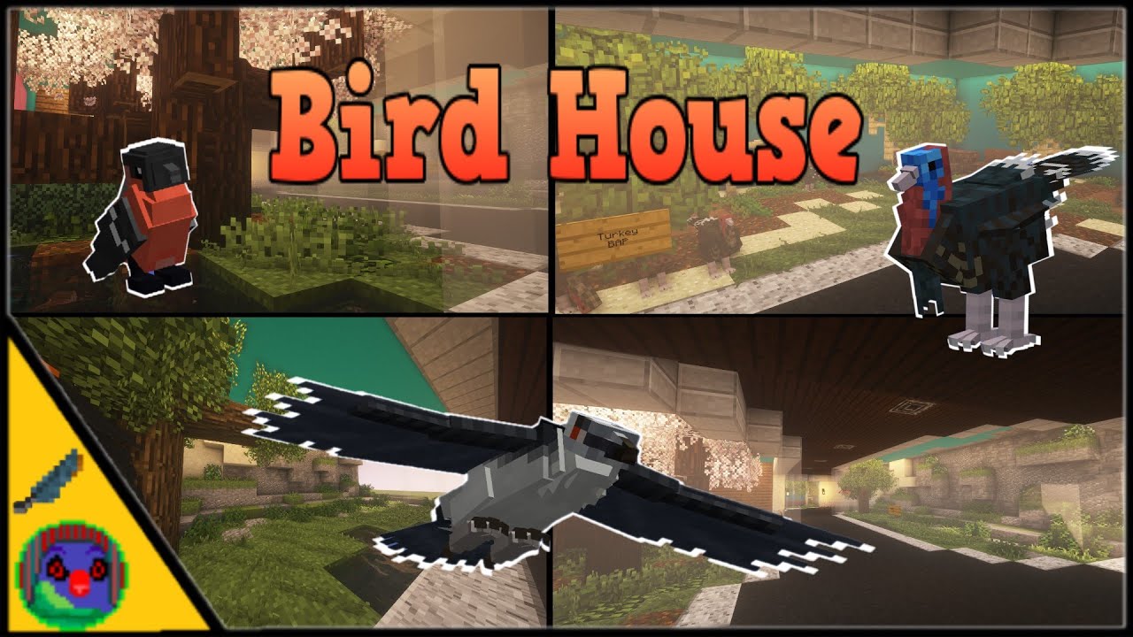 Birds of Asia | Bird house Minecraft - YouTube