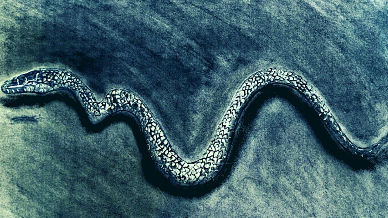 How to draw a realistic Snake...and skin shading step by step... - YouTube