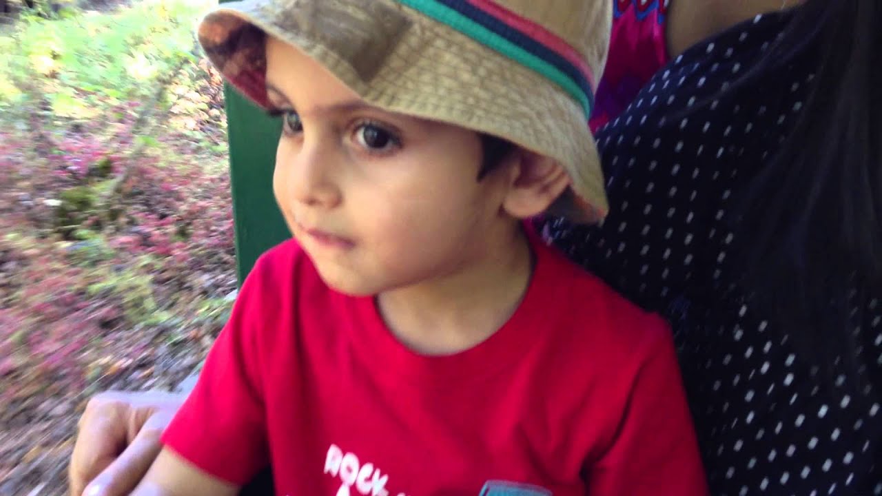 Ronit on remlinger farm train - YouTube