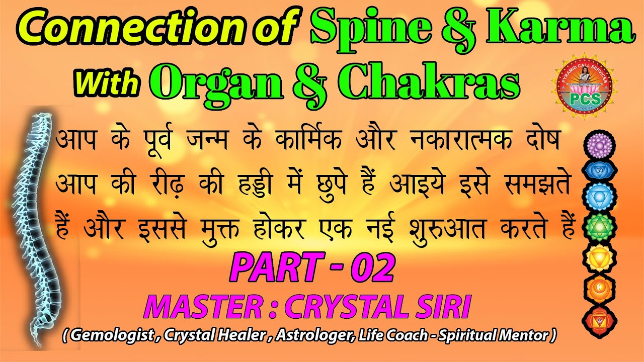 Connection Of Spine & Karma With Organs & Chakras PART 002 - YouTube