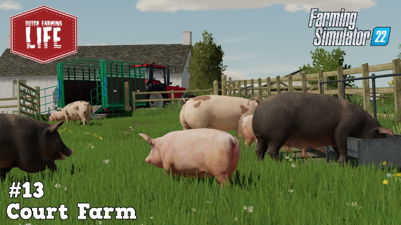 Varkens Kopen | Court Farm #13 | FS22 - YouTube