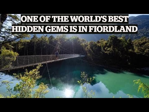 Hollyford Wilderness Experience: One of the world's best hidden gems ...