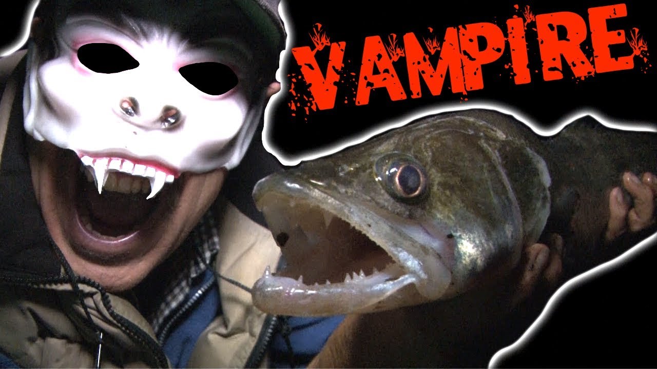 Fishing for VAMPIRE FISH - The Fish with FANGS! - YouTube