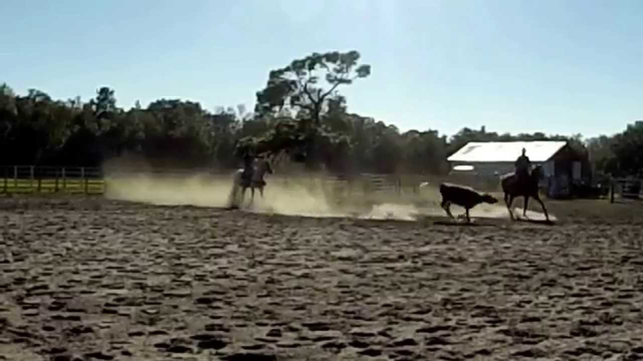 Team Roping Practice -RO Arena - YouTube