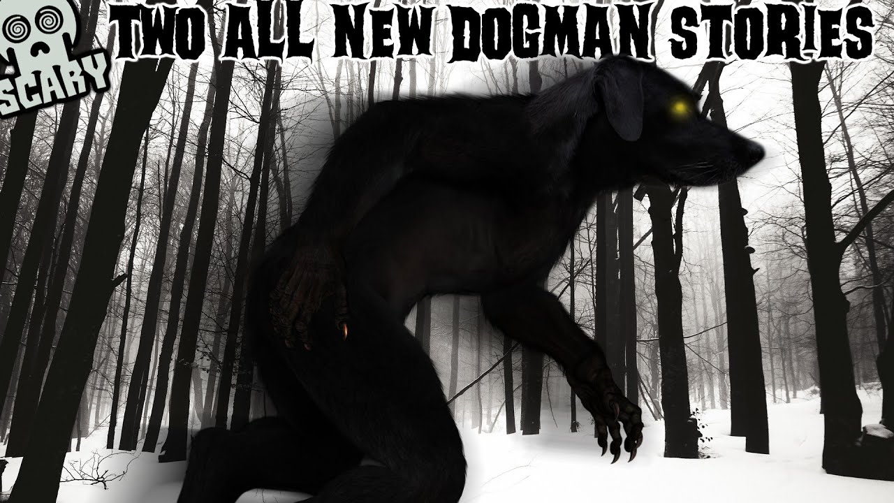 Dogman Saved My Marriage? 2 New Dogman Stories - YouTube