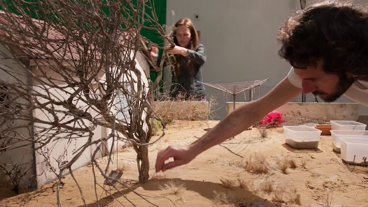 lili takeoff - Making a stop motion set and props - YouTube