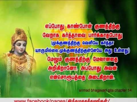 Bhagavath Geetha Quotes Tamil Whatsapp Status96