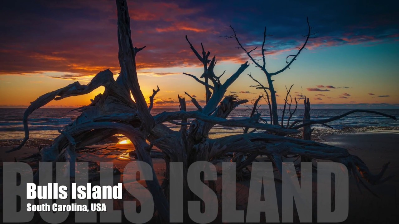 Boneyard Beach Bulls Island, SC, USA GO Pro Timelapse Lightroom Sony ...
