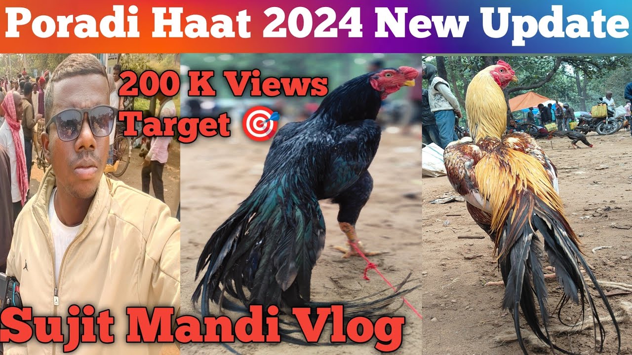 Poradi Haat 2024 lSujit Mandi Vlog - YouTube