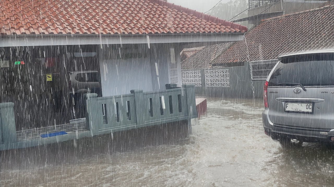 Soft Rain Pattering on an Umbrella – Cozy ASMR for Relaxation and Focus ...