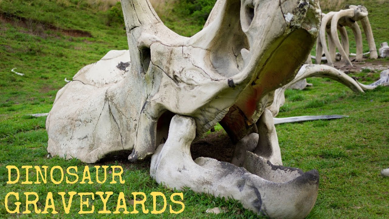 Dinosaur Graveyards - YouTube