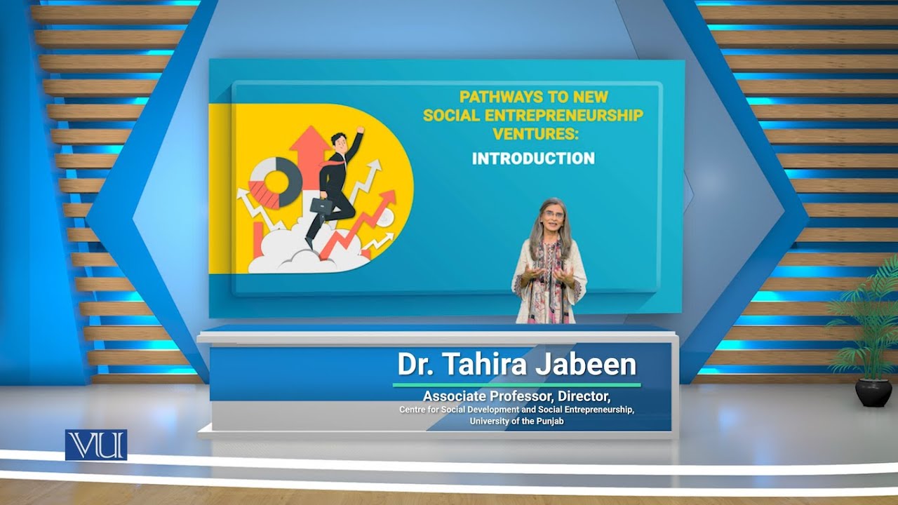 Pathways to New Social Entrepreneurship Ventures | Social ...
