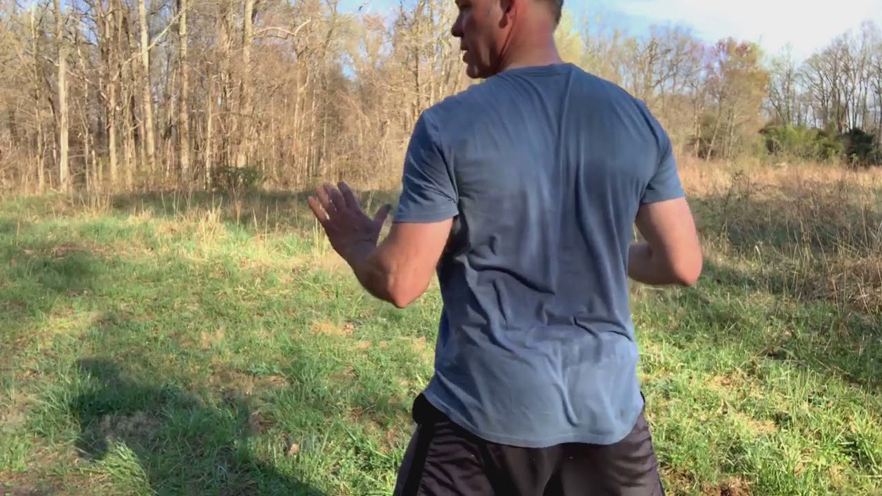 The PUSH AWAY Exercise Strategy to Fix Your Posture and Find Pain ...