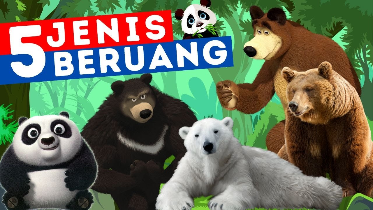 Mengenal Lima Jenis Beruang | Panda, Beruang Kutub, Beruang Hitam ...