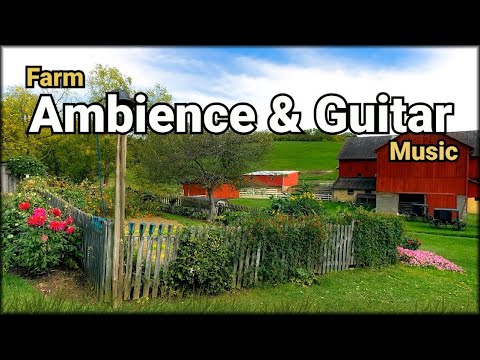 "A Mile From The Mailbox" - Calm Instrumental Acoustic Guitar - Farm ...