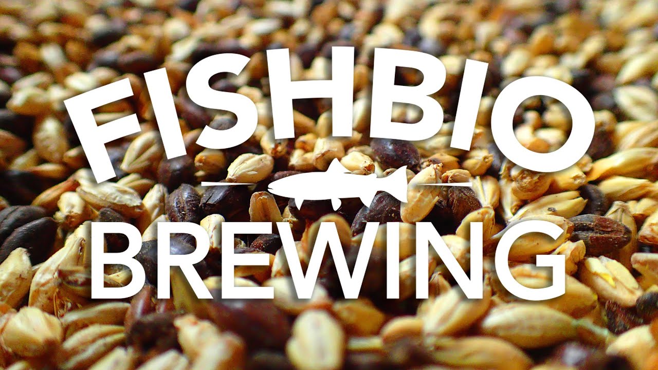 FISHBIO BREWING: From Inception to Completion - YouTube