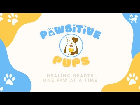 Pawsitive Pups Commercial 🐶🐾 - YouTube