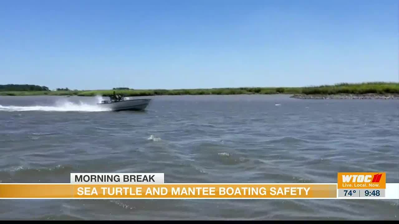 Sea turtle and manatee boating safety - YouTube