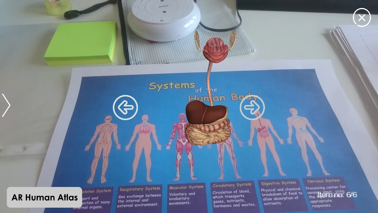 AR Human Atlas visualisiert die Anatomie - YouTube