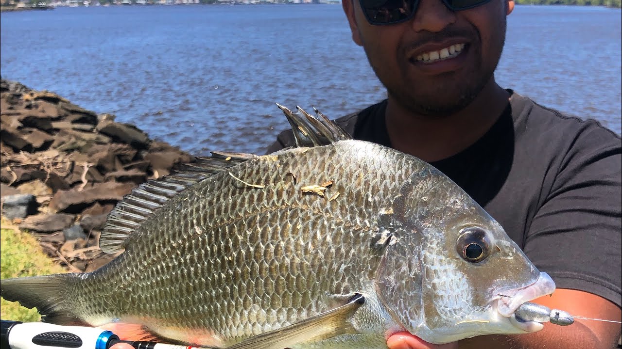 Best Bream fishing on lure - YouTube