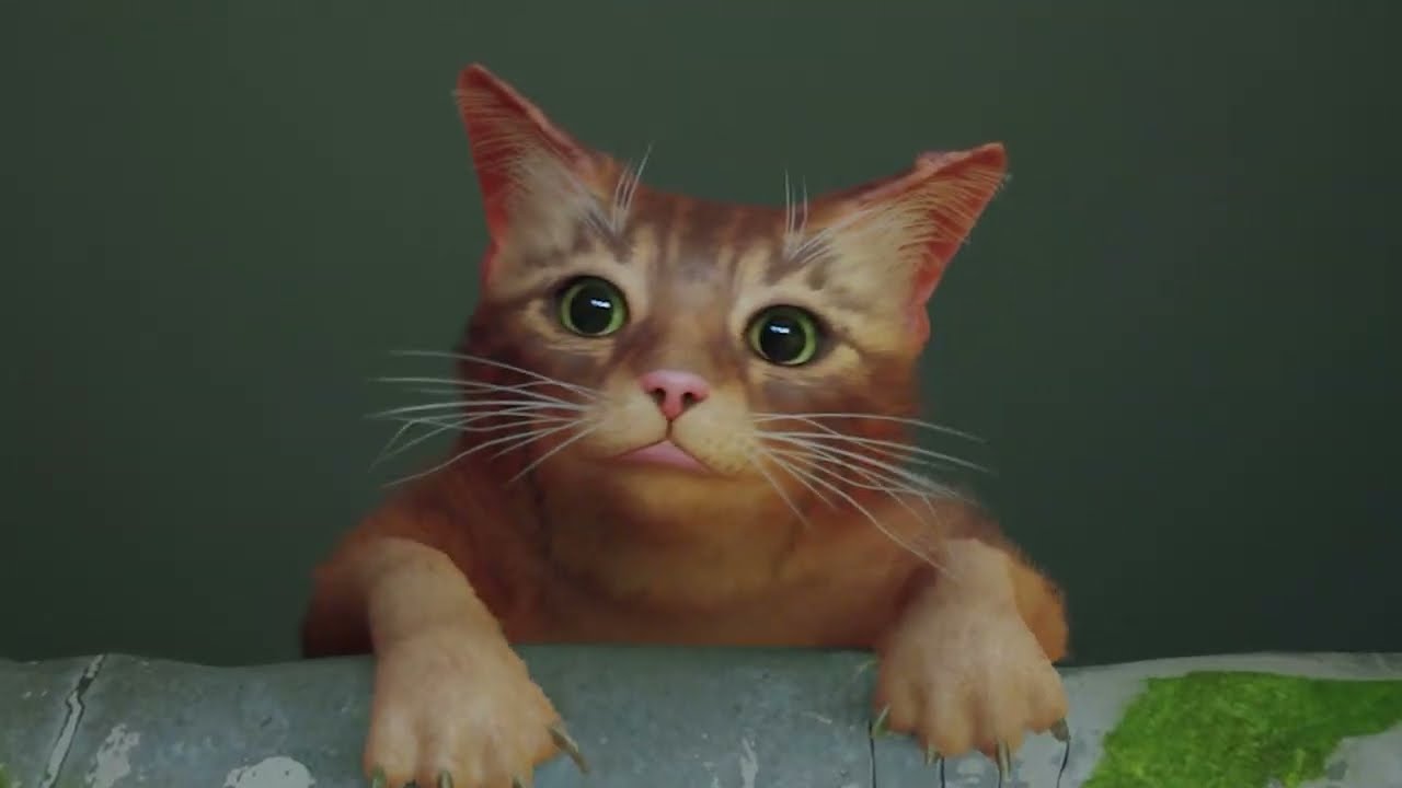 Click or the stray cat falls - YouTube