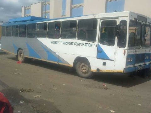 Busaf sheerline bus Mercedes-Benz Of 1724 - YouTube