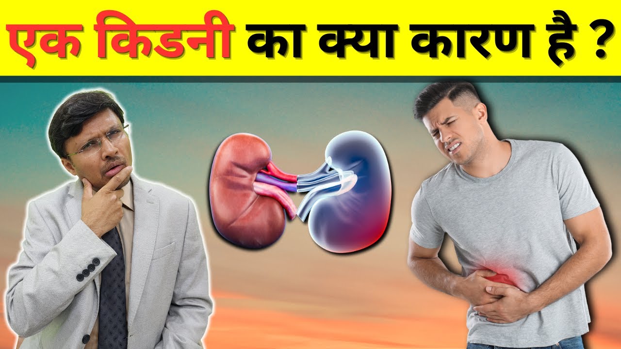 Why Do Some People Have Only One Kidney? (Shocking Causes Revealed ...