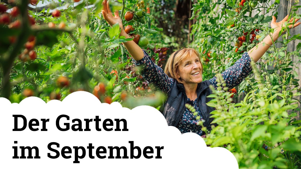 Garten im September | Säen, Pflanzen, Ernten - YouTube