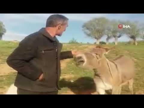 Ahmet ile Karakaçan buluşma anı.