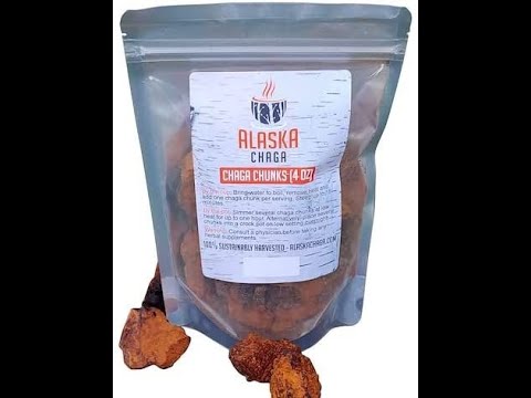 Chaga chunks Alaska Chaga Mushroom Chunks (4 Oz) Mushroom Tea ...