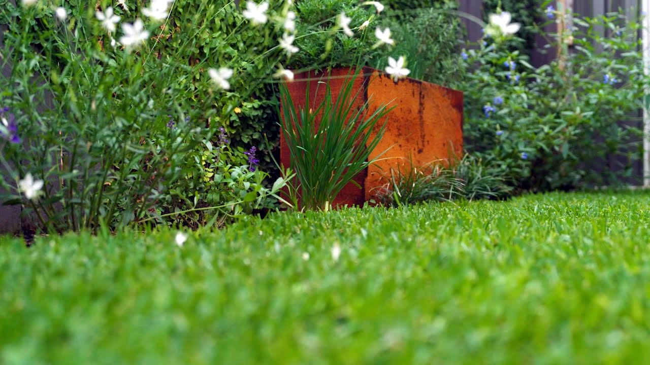 The Garden Gurus - The Law to a Great Lawn #8 - YouTube