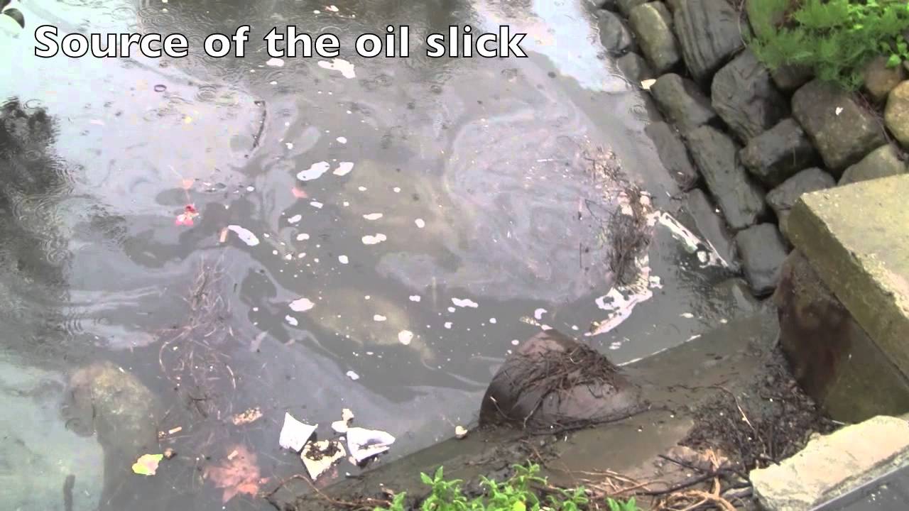 Tempe Stormwater into the Cooks River - YouTube