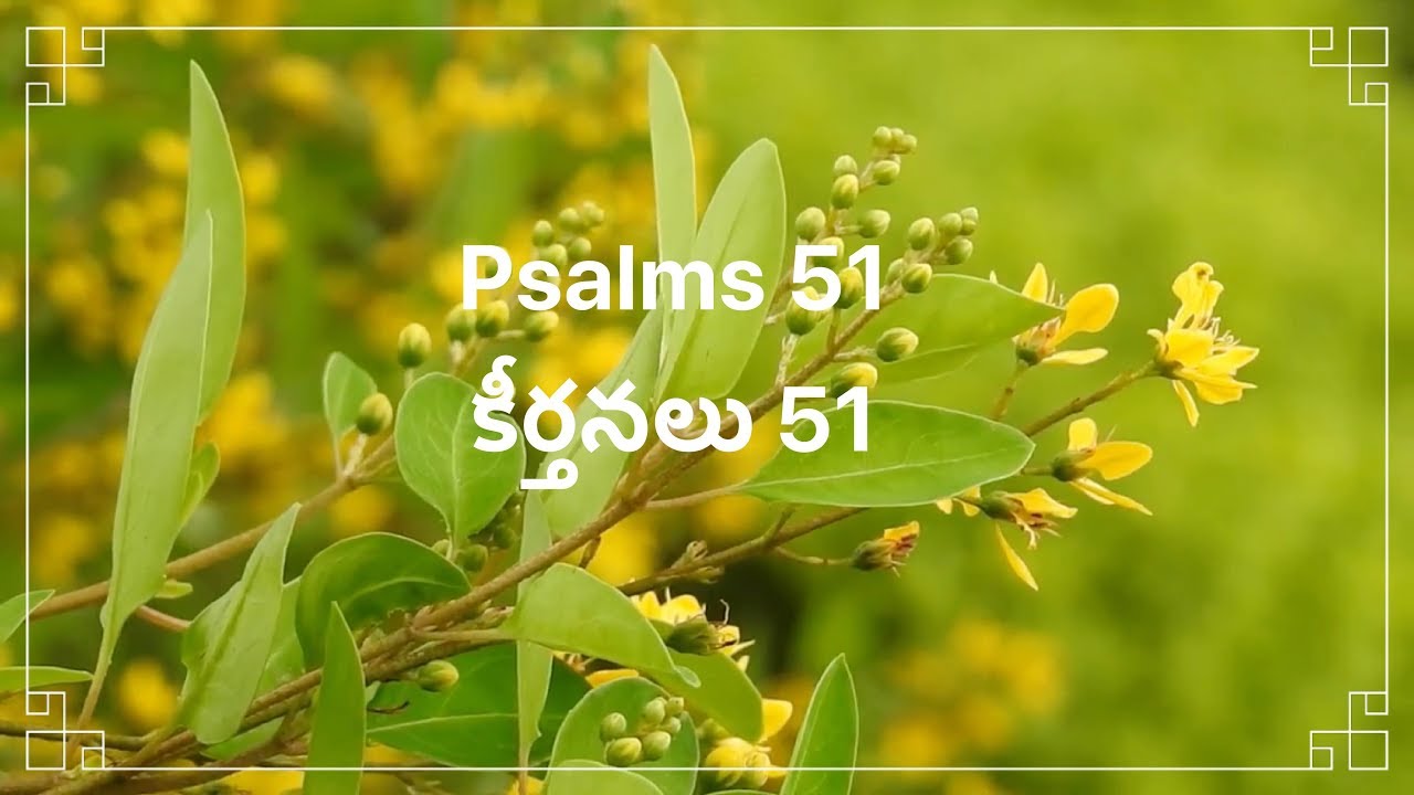 Telugu Bible Audio Psalm 51 51 Telugu Bible Audio Psalm 51 51