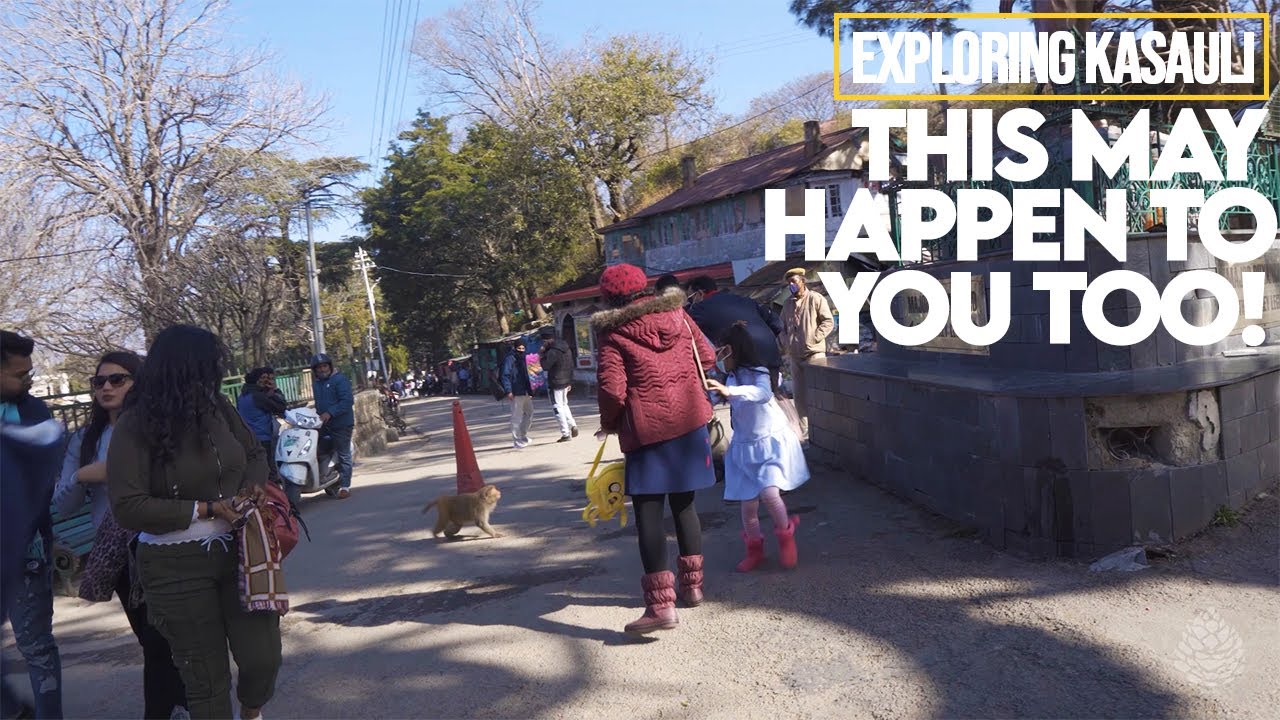 KASAULI: Top 11 Places To Visit And Things To Do In Kasauli - YouTube