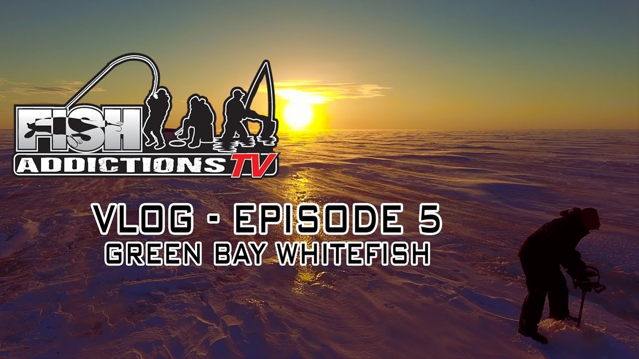 Fish Addictions Tv - Vlog - Episode 5 - YouTube