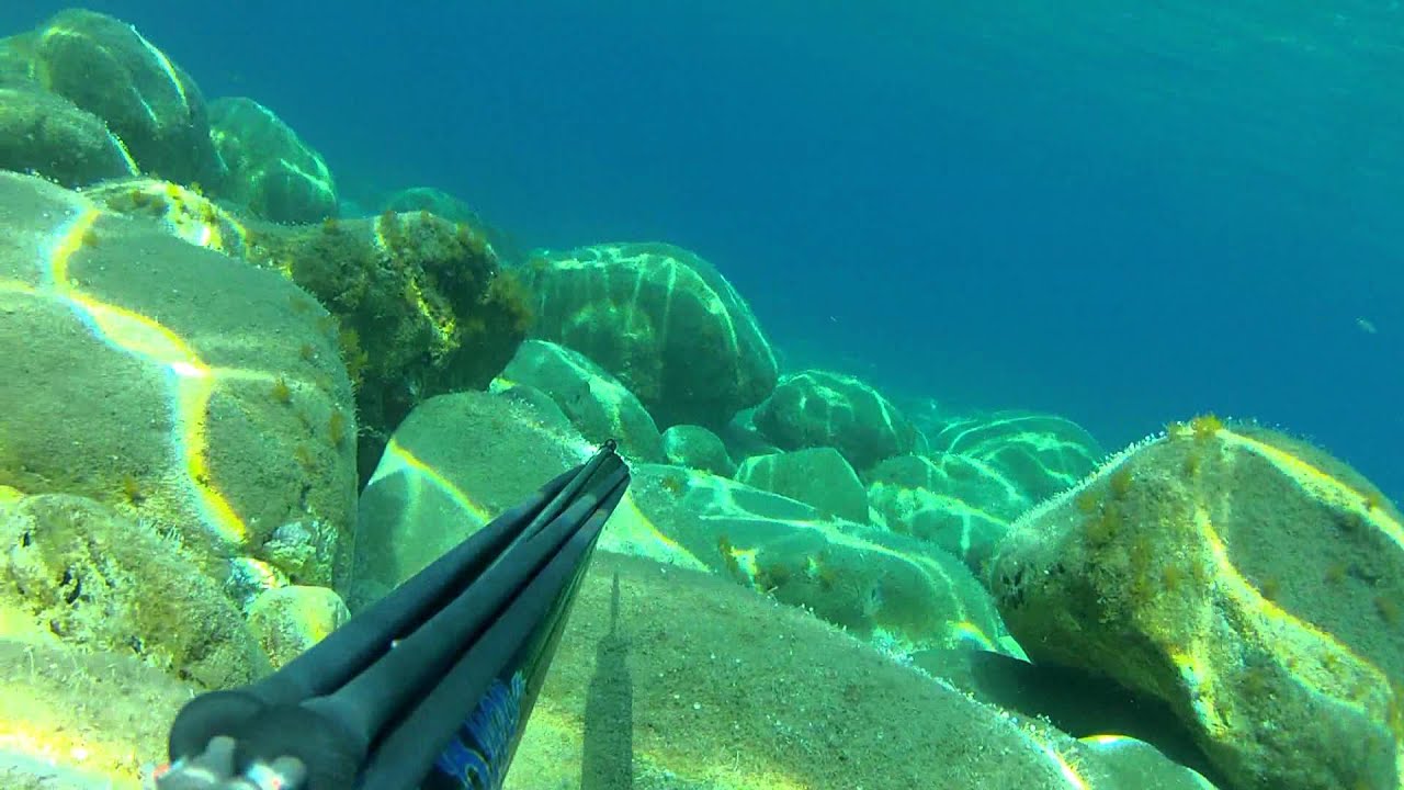 Spearfishing moments - YouTube