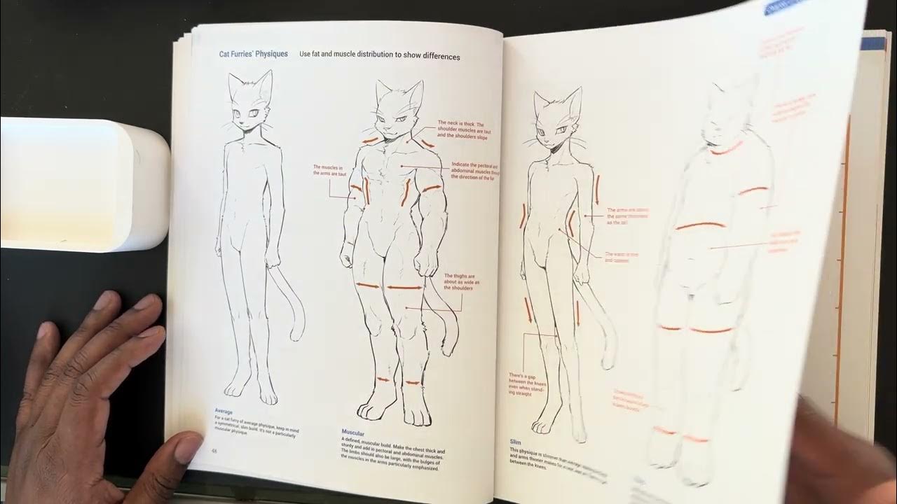 How To Draw Furries Full Version Youtube