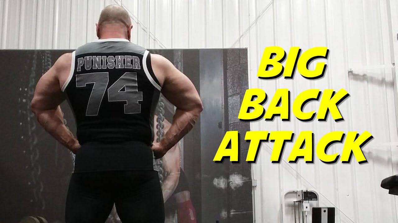 How I Trained My BACK (and Biceps) When I Was at My BIGGEST and ...