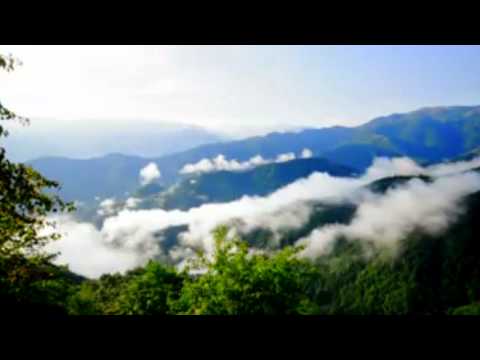 Mustafa Şafak Sararir Yapraklarim (Yüksek Kalite) HD