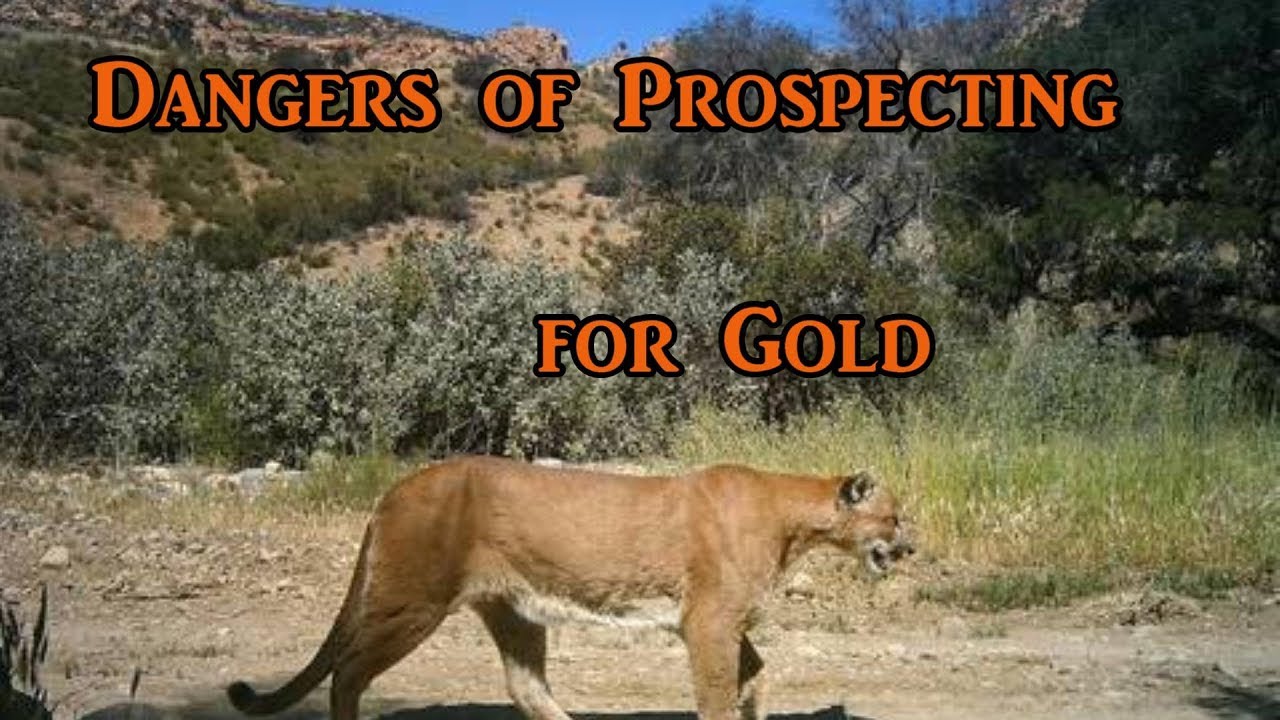 Dangers to look for while prospecting for gold - YouTube