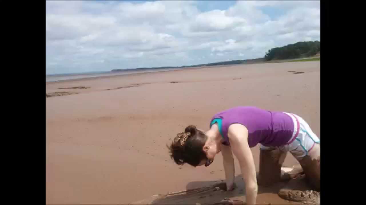 Summer Foolishness: Mudflats - YouTube
