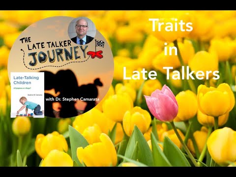 Ep. #3, Traits of Late-Talking Children with Stephen Camarata - YouTube