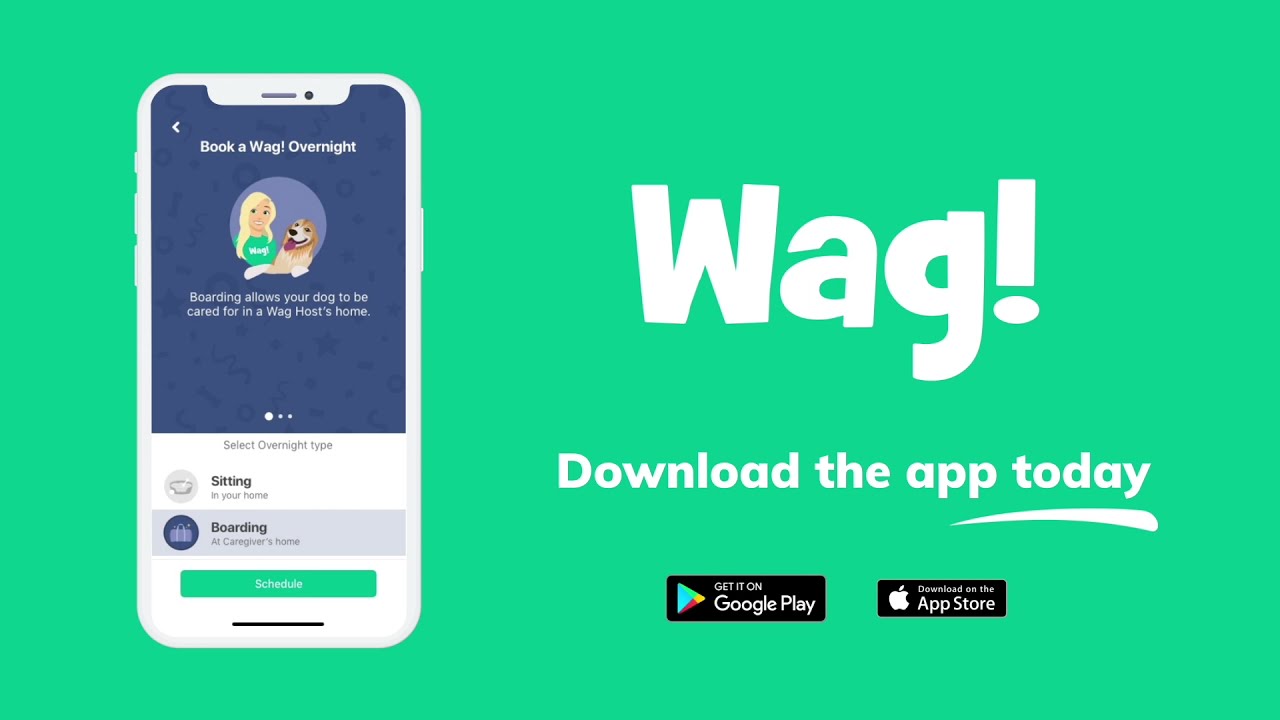 Wag! App Helps You Book Overnight Care for Your Pets | Wag! - YouTube