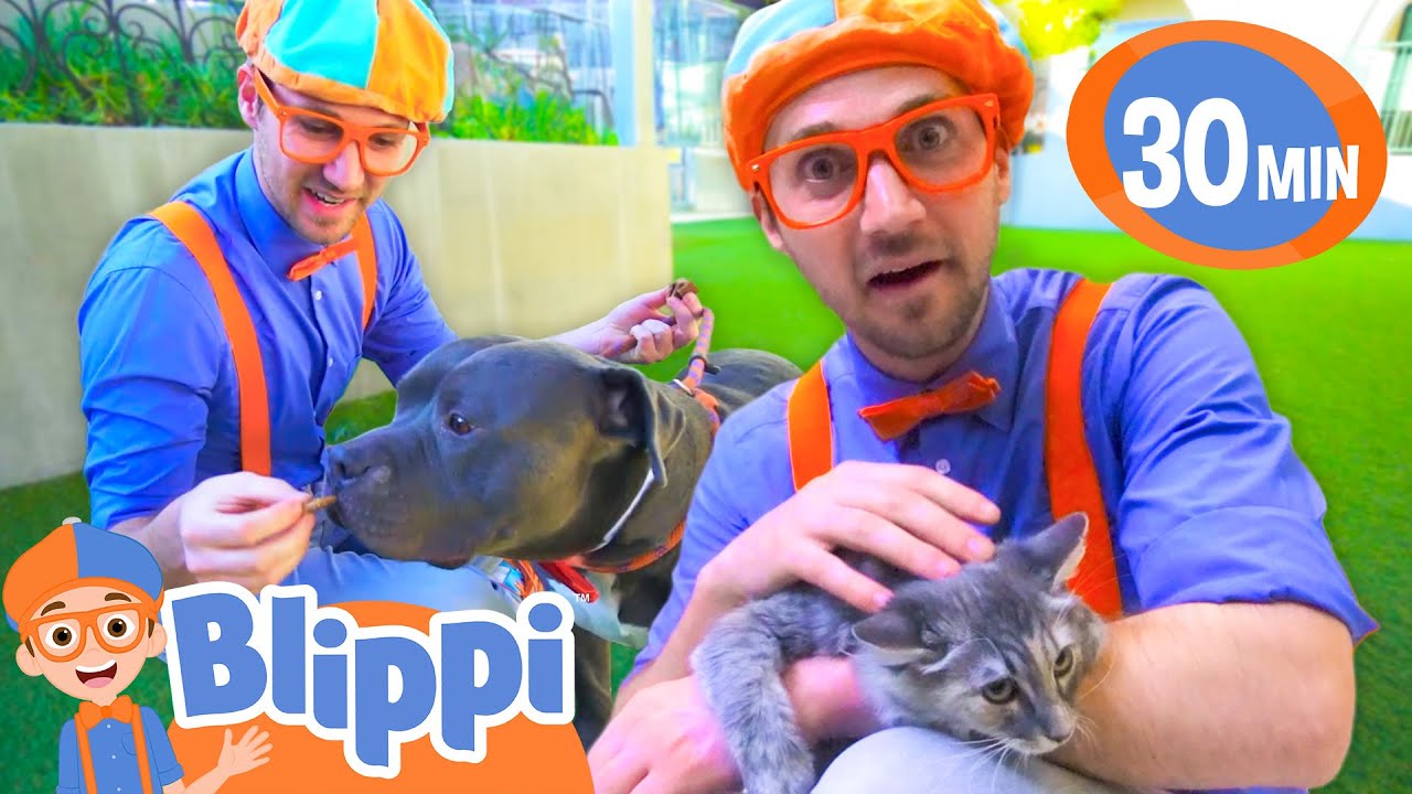 Blippi Plays With Puppies At The Animal Shelter | BEST OF BLIPPI TOYS ...