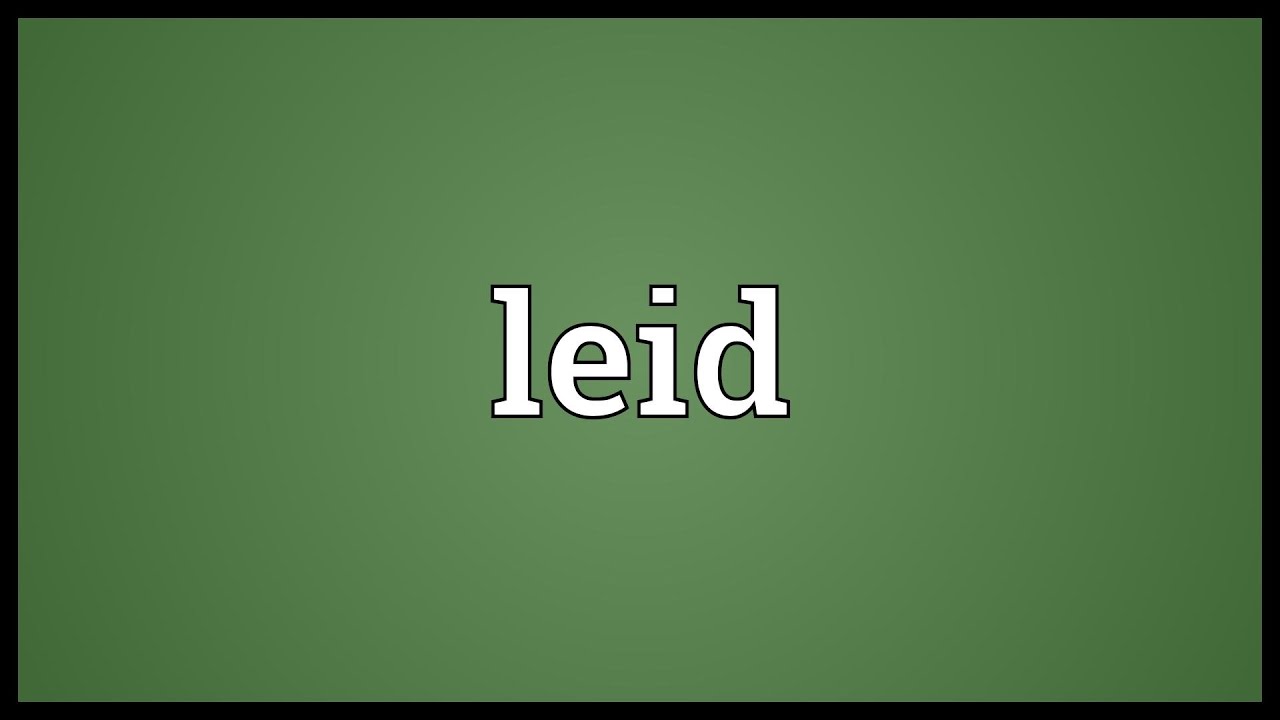 Leid Meaning - YouTube