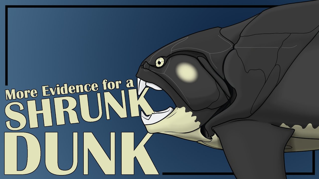 More Evidence for a Shrunk Dunk - YouTube