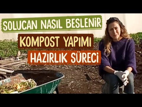 SOLUCAN NASIL BESLENİR? | KOMPOST YAPIMI | HAZIRLIK SÜRECİ