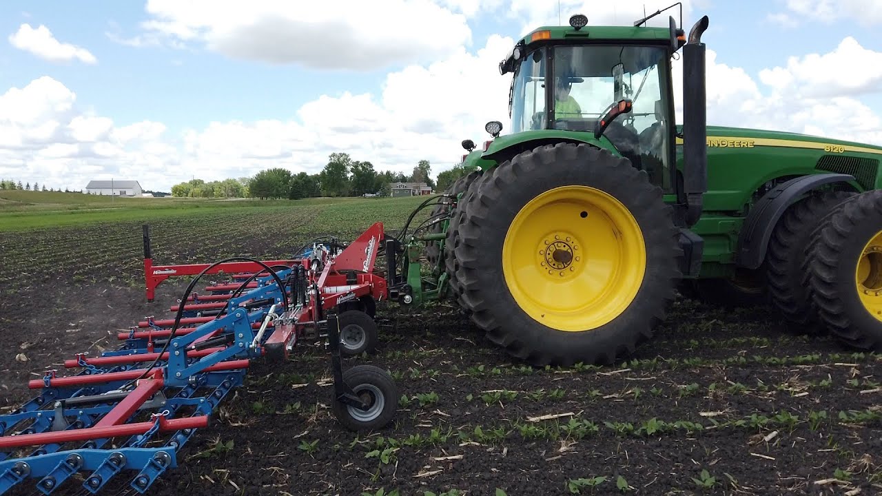 What is tine weeding? - YouTube