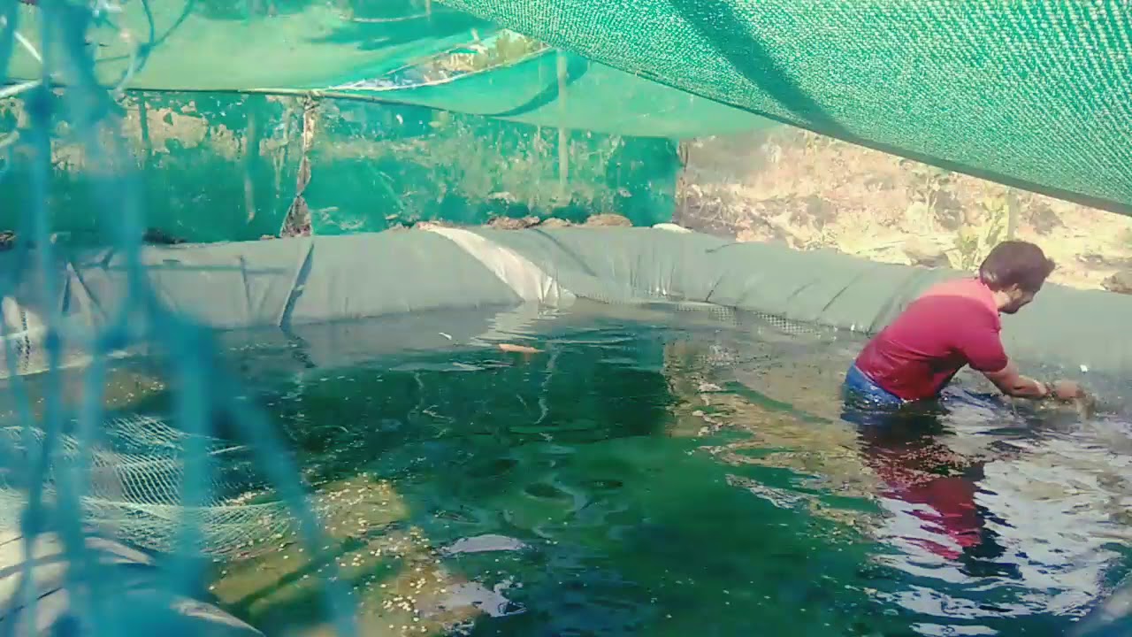 Fishing at Home Part-3 #Kerala - YouTube