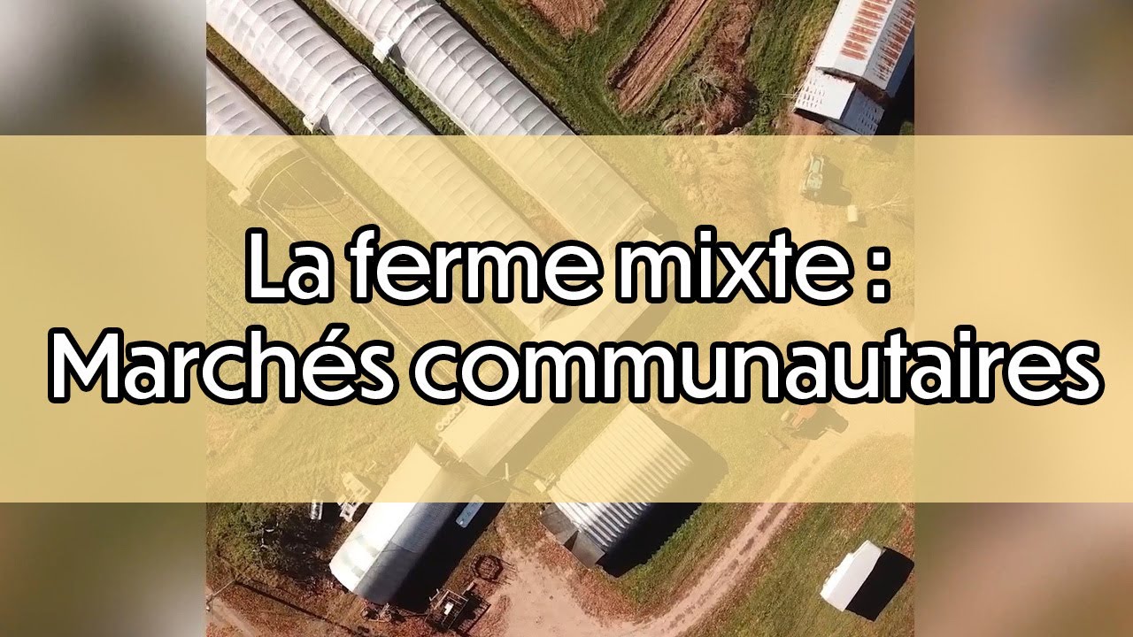 La ferme mixte : Marchés communautaires - YouTube
